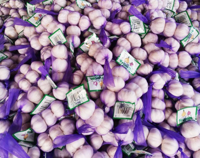 Normal white Garlic 3P - RICH FENG INTERNATIONAL LIMITED